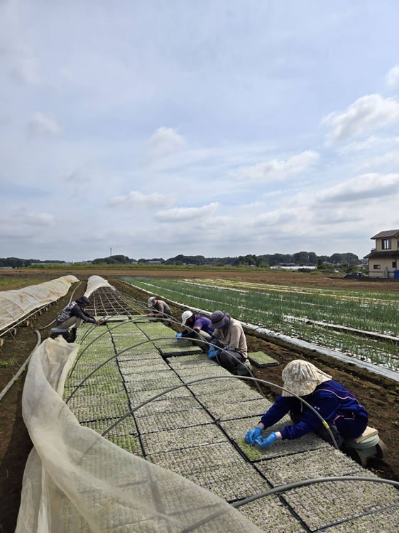 作業中 – ボラバイト POST